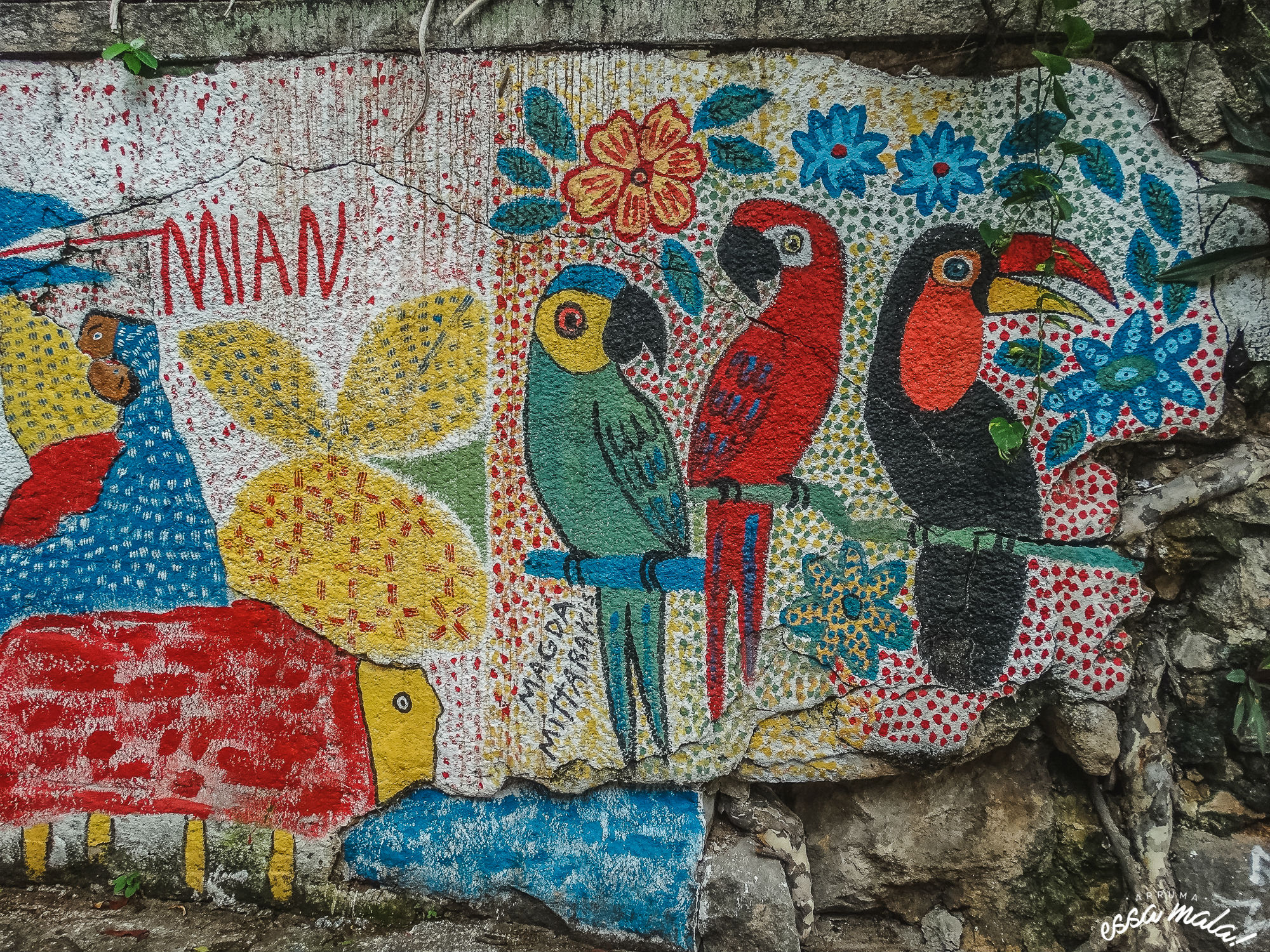 O que fazer no bairro do Cosme Velho, no Rio de Janeiro? - Arruma Essa Mala
