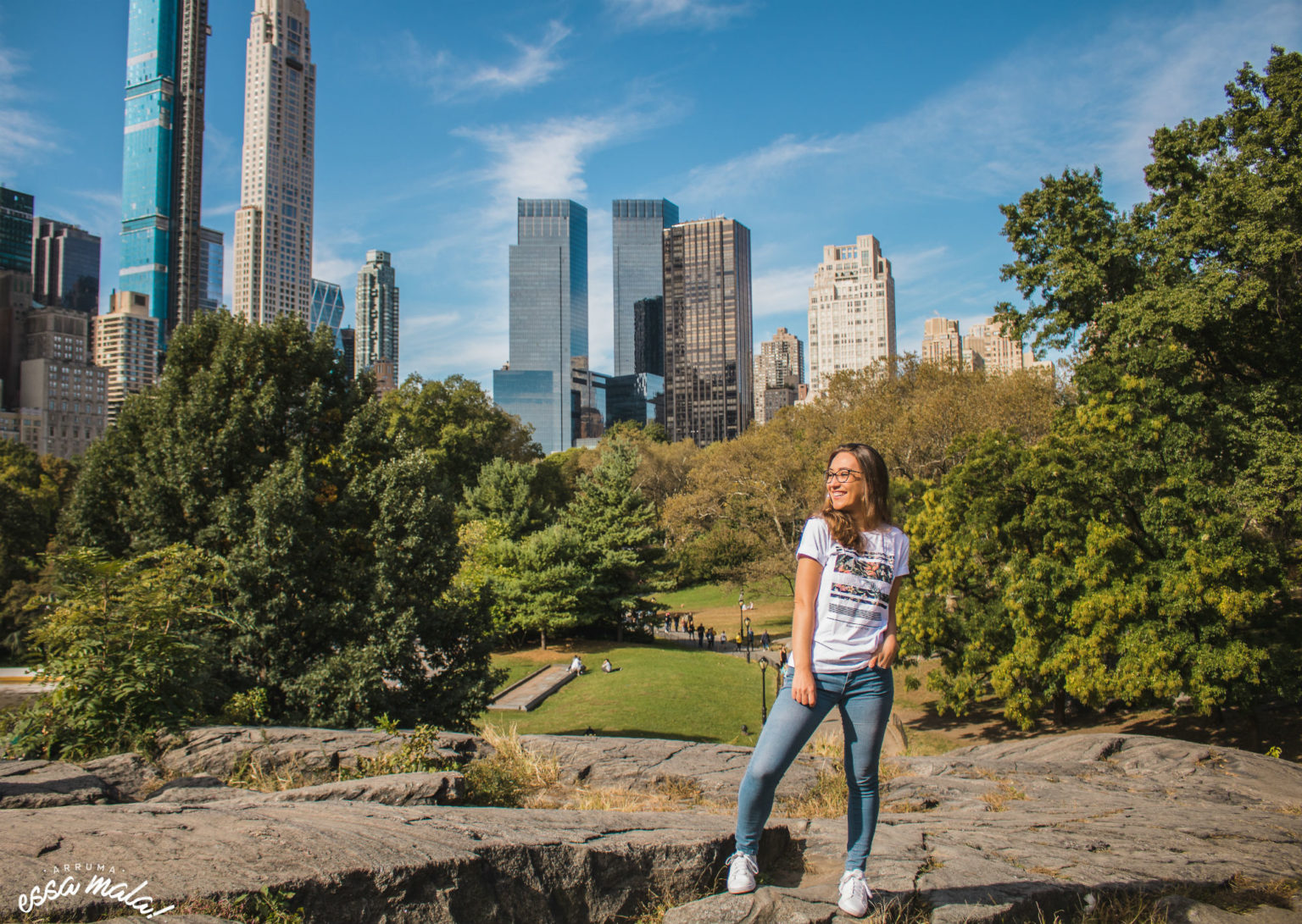 Central Park, NY: tudo o que você precisa conhecer no parque mais ...