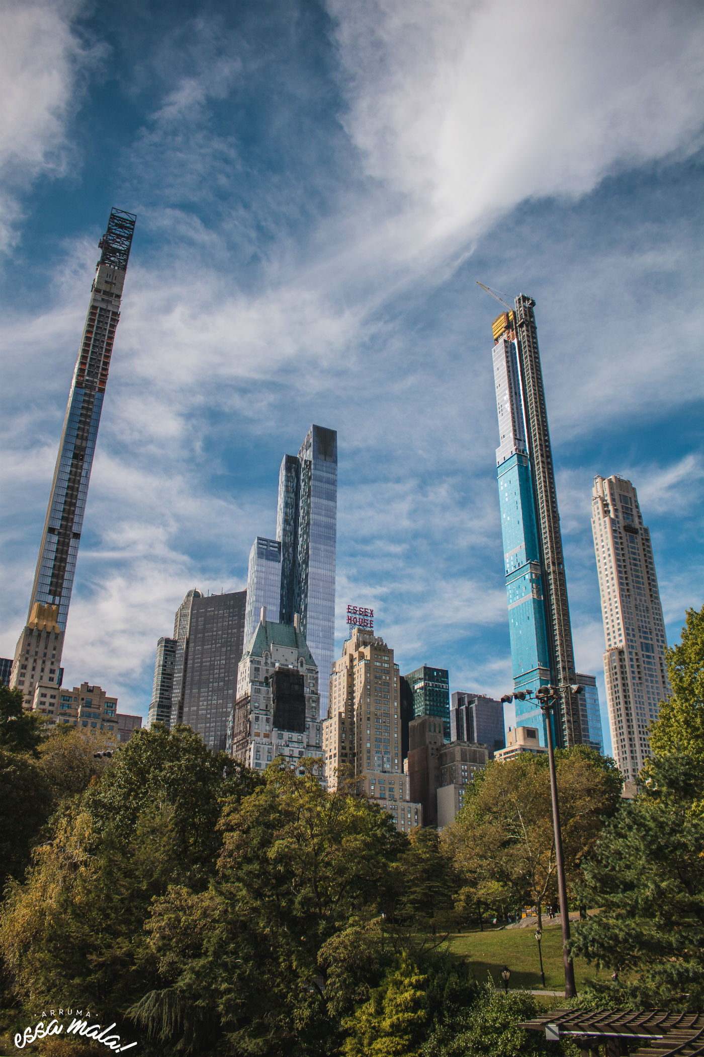 Central Park, NY: tudo o que você precisa conhecer no parque mais ...