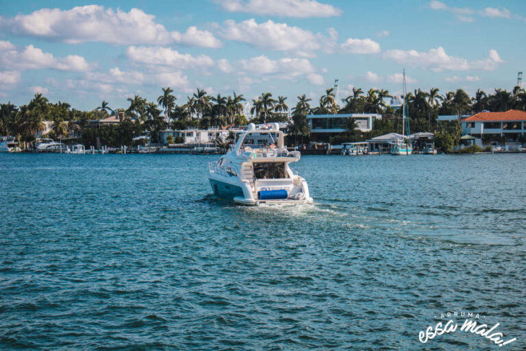 Passeio de barco em Miami: como é ver a casa dos famosos em Biscayne ...